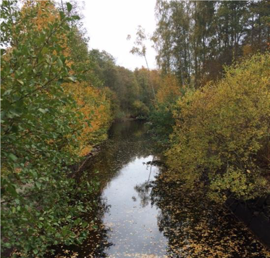 Patterns and factors affecting brownification in a boreal river ...